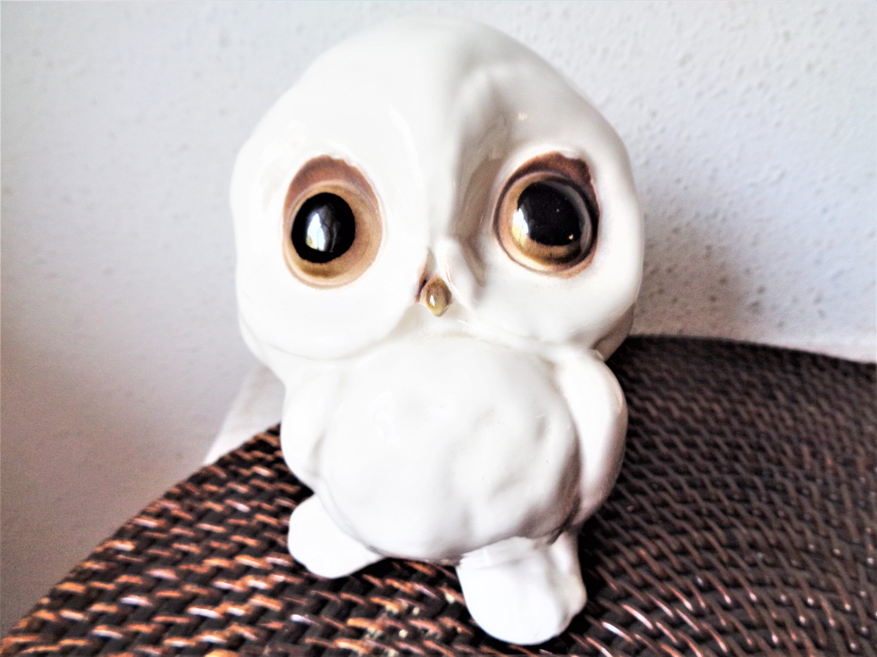 Baby White Owl