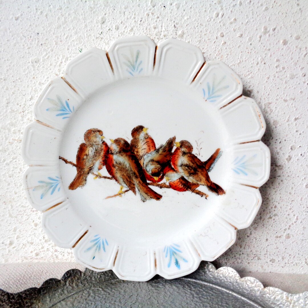 Vintage Ceramic Birds Plate, Robins on a Branch - Etsy