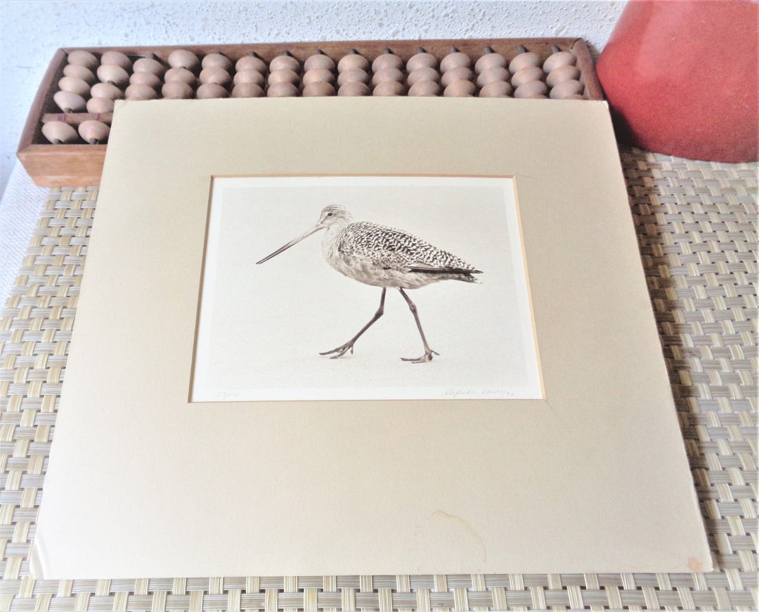 Vintage Shore Bird Art Print Alexander Lowry Monterey Bay CA Limited ...