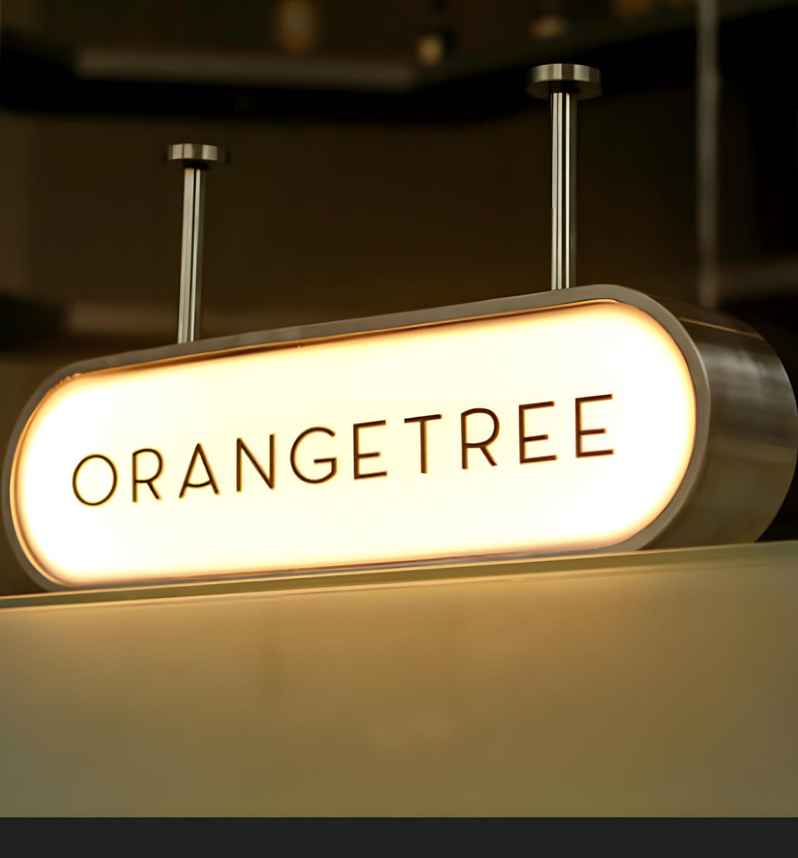 Custom LED Business Logo Sign, Double Sided, Ceiling Mount - Etsy