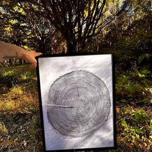 Handmade Redwood Tree Print 18x24 - Etsy