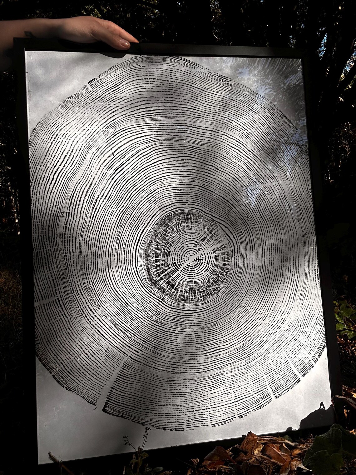 Handmade Ponderosa Pine Tree Print 18x24 - Etsy