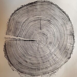 Handmade Redwood Tree Print 18x24 - Etsy