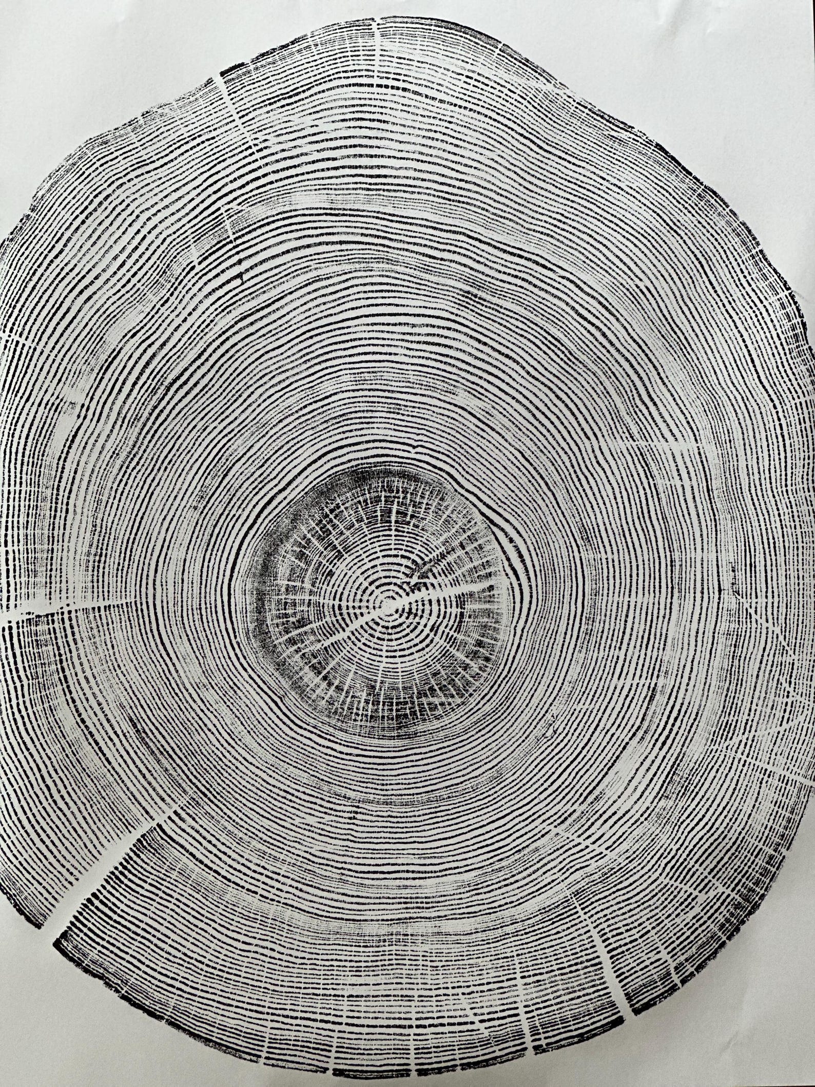 Handmade Ponderosa Pine Tree Print 18x24 - Etsy