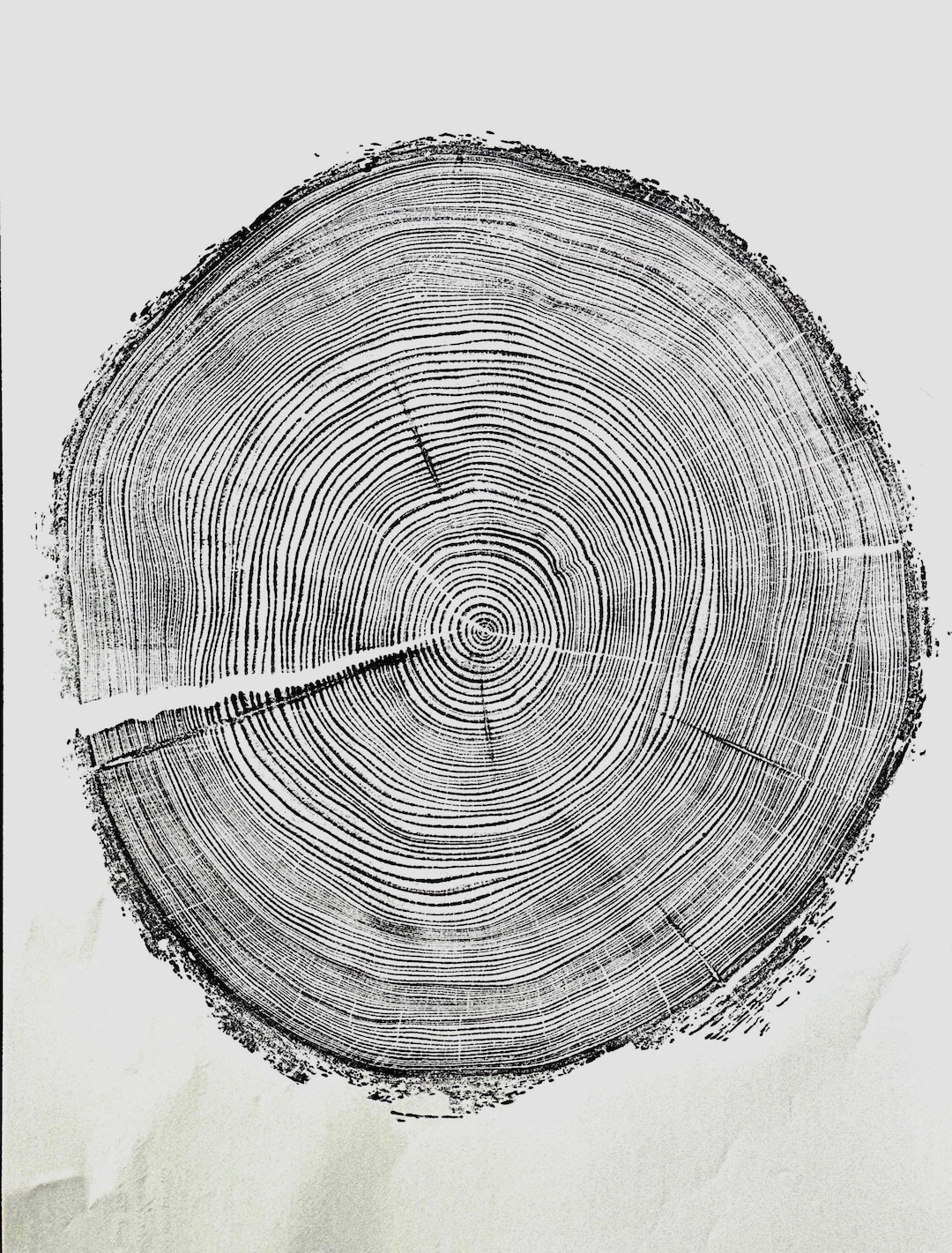 Handmade Redwood Tree Print 18x24 - Etsy