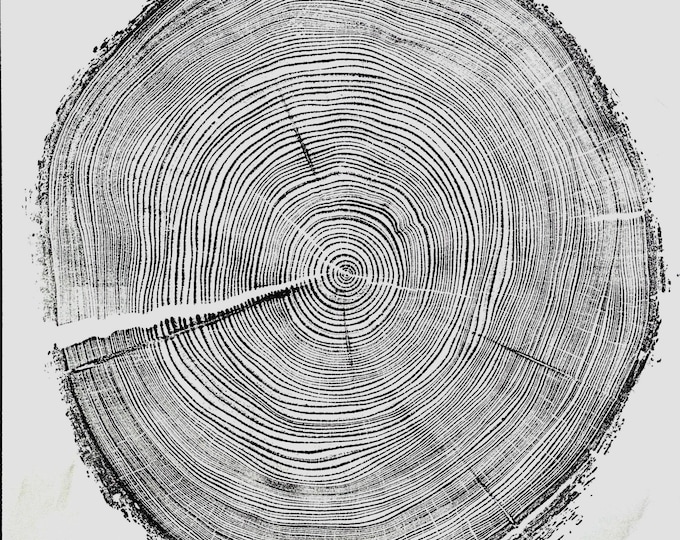 Handmade Redwood Tree Print 18x24 - Etsy