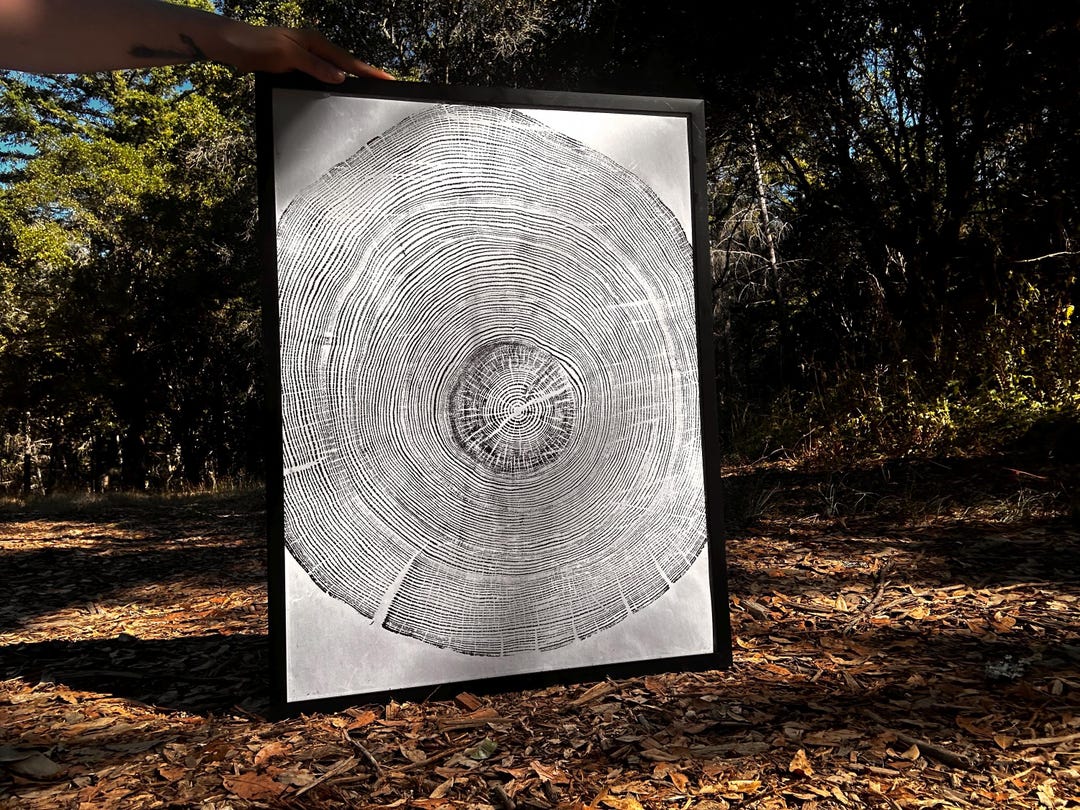 Ponderosa Pine Tree Prints new - Etsy