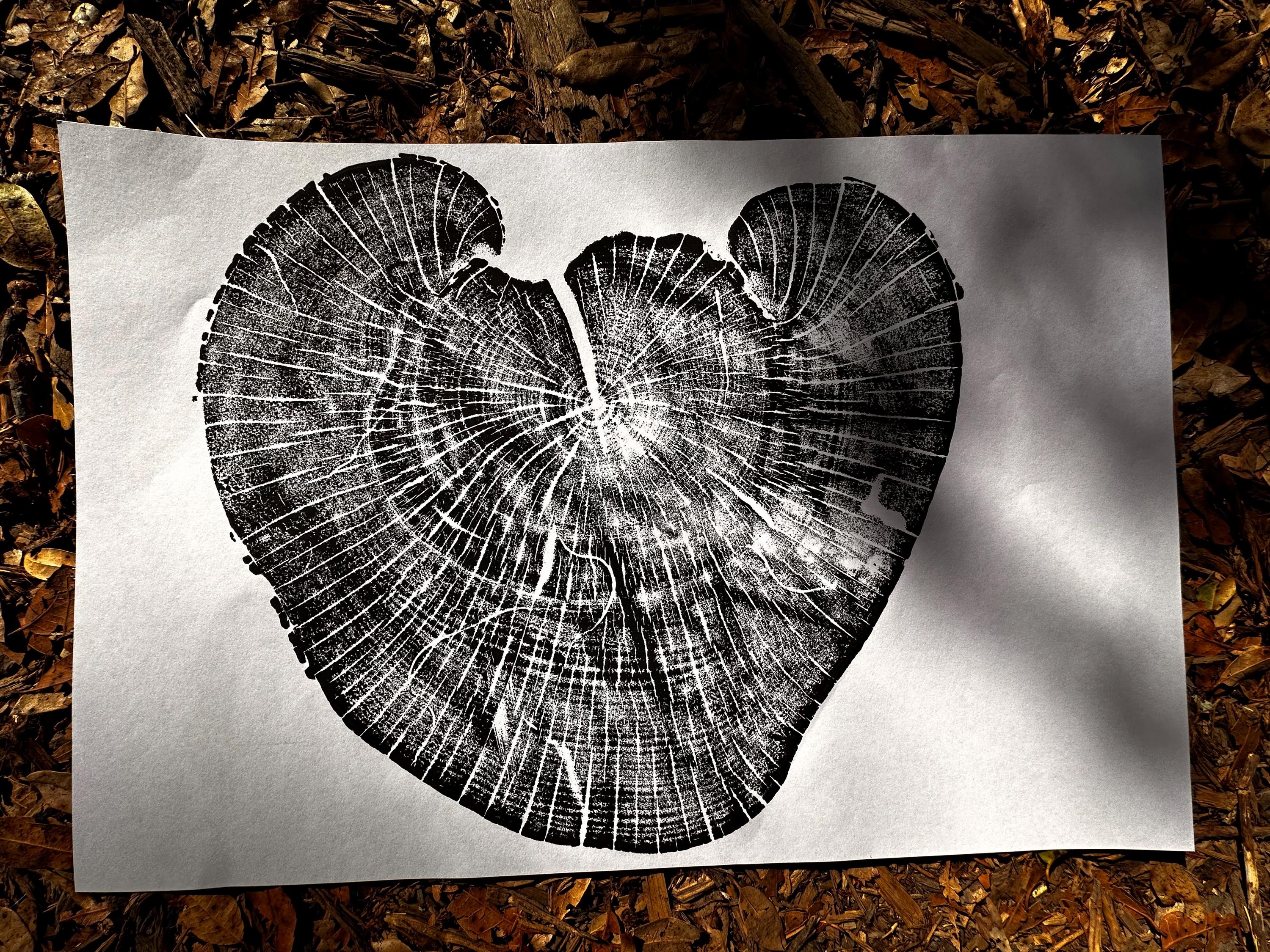 Handmade Madrone Tree Print 12x18 - Etsy