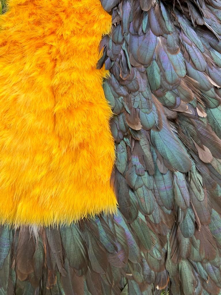 Hawaiian Feather Cloak Authentic Hand Sewn Royal Polynesian Feather ...