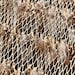 Hawaiian Feather Cloak Authentic Hand Sewn Royal Polynesian Feather ...