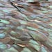 Hawaiian Feather Cloak Authentic Hand Sewn Royal Polynesian Feather ...