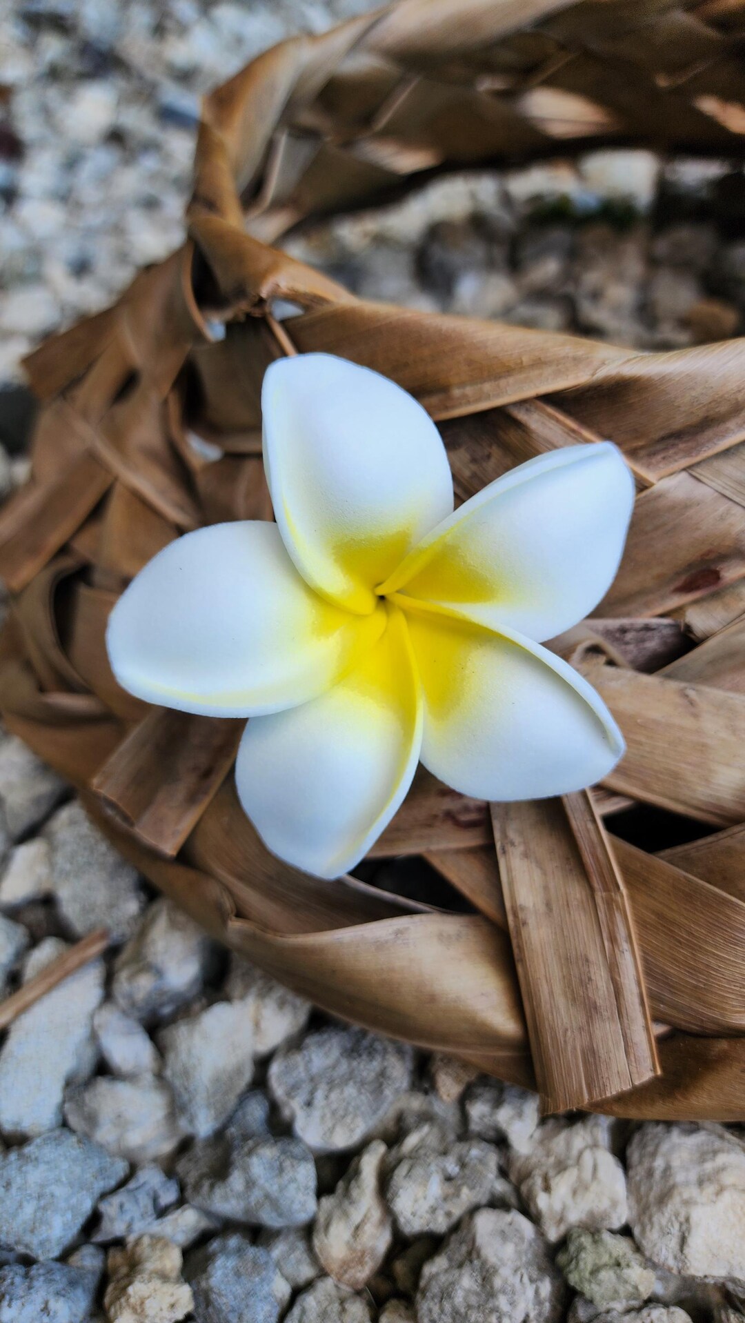 Baby Luau Foam Flower Pua Hair Pick Accessory (plumeria 1 Piece) - Etsy