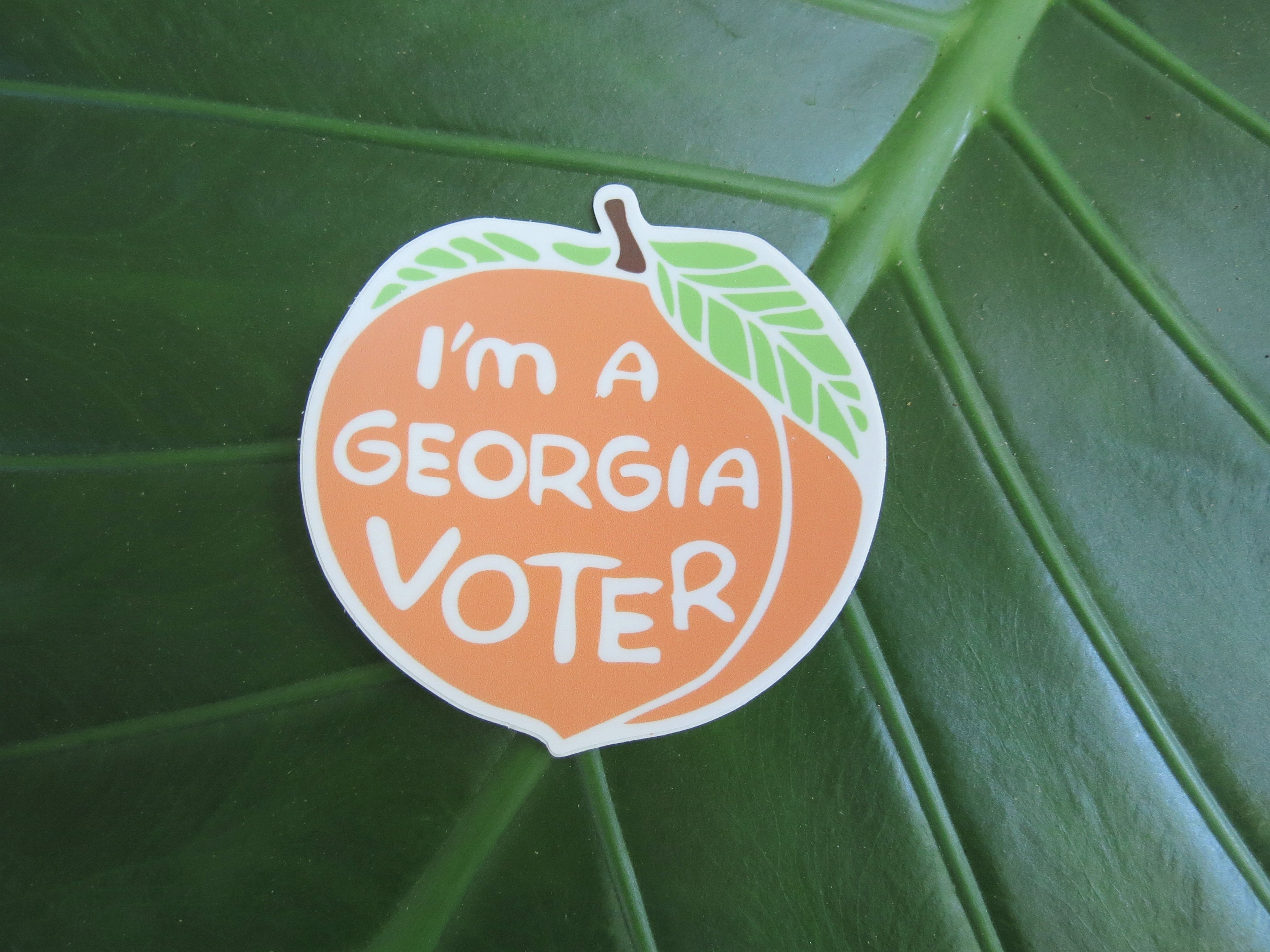 I'm a Georgia Voter vinyl sticker | Etsy