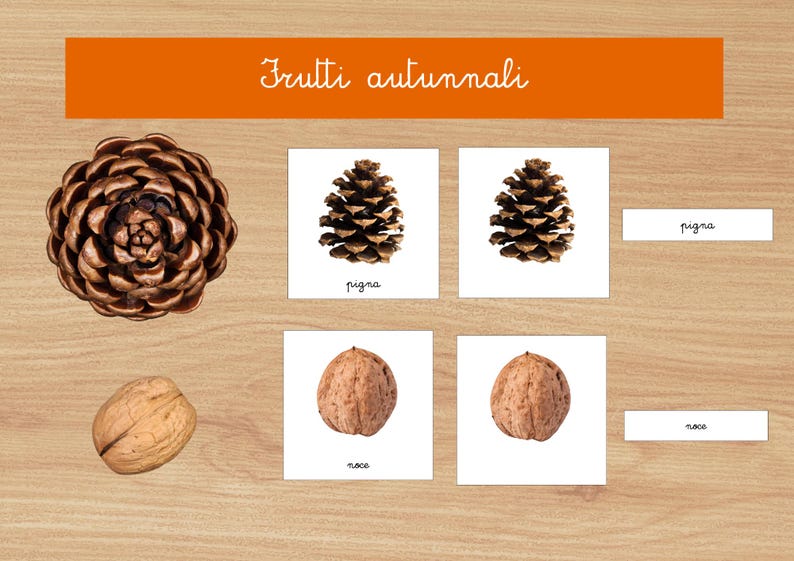 Montessori Nomenclature Cards - AUTUMN FRUIT - Children's Game - Autumn ...