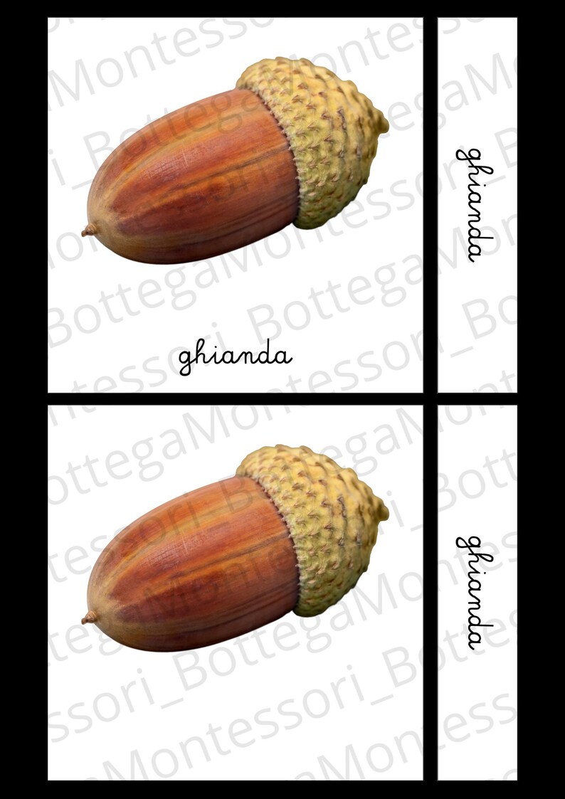 Montessori Nomenclature Cards - AUTUMN FRUIT - Children's Game - Autumn ...