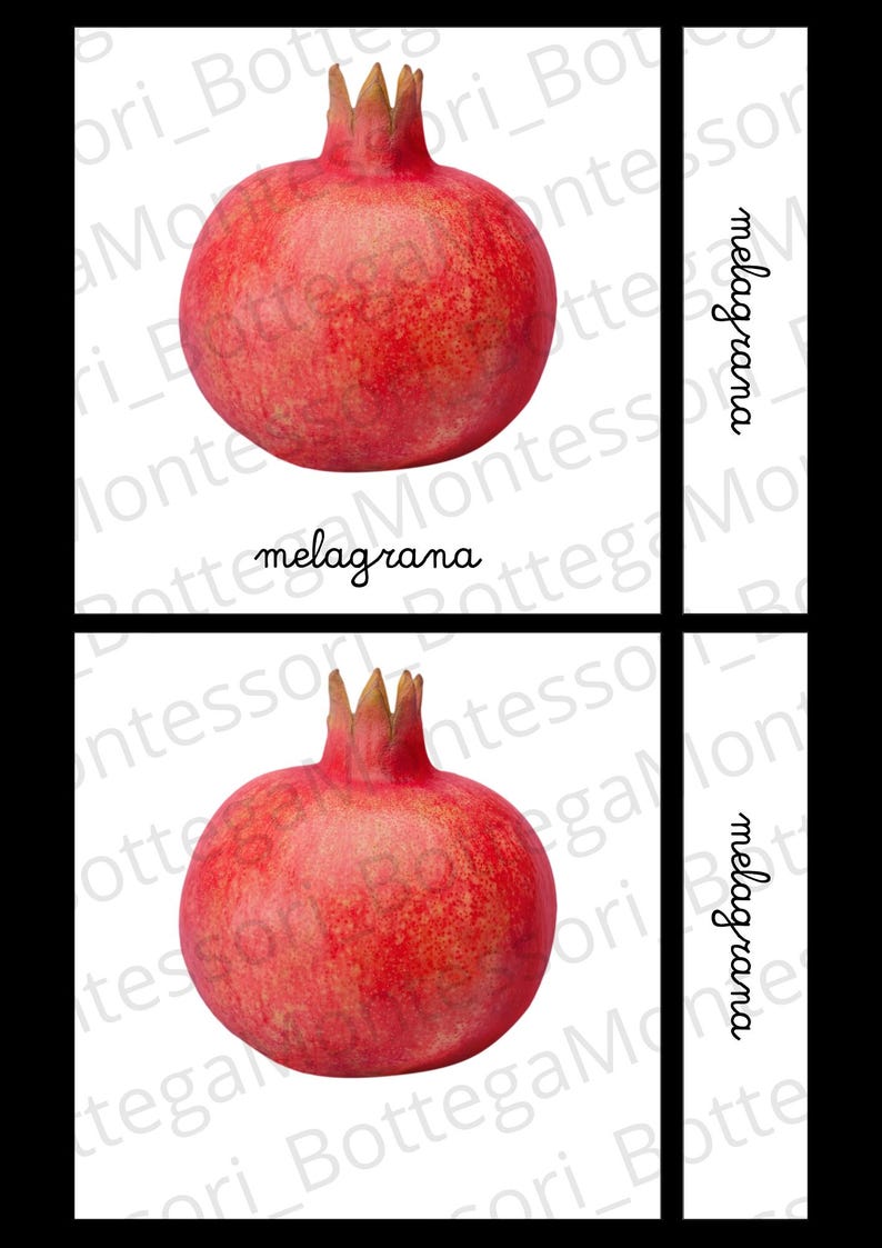 Montessori Nomenclature Cards - AUTUMN FRUIT - Children's Game - Autumn ...