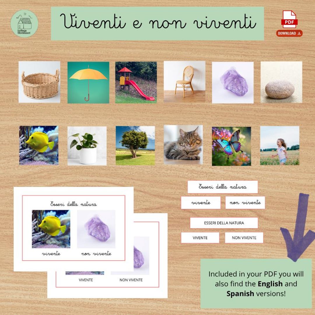 Living and Nonliving - Montessori Activities in 3 Languages | Printable ...