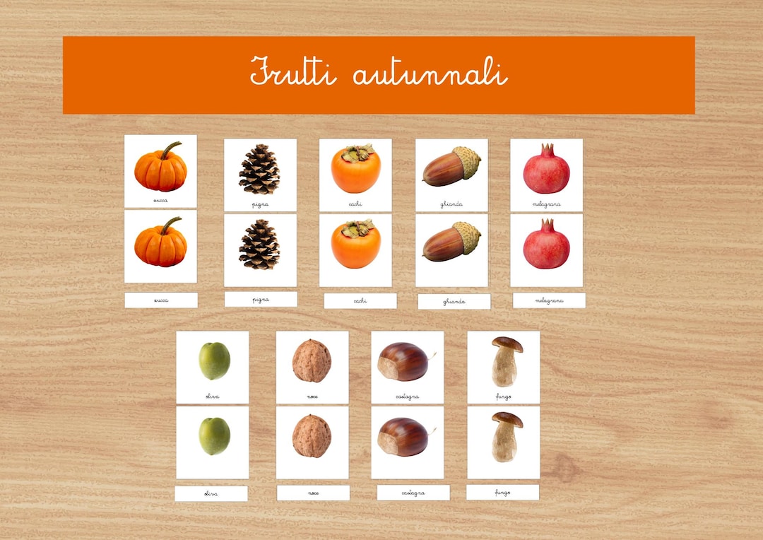 Montessori Nomenclature Cards - AUTUMN FRUIT - Children's Game - Autumn ...