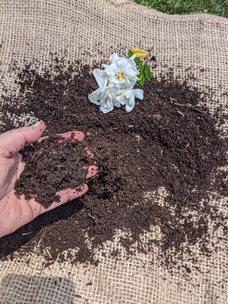 Worm Poop Small Batch Organic Worm Castings. Sustainable, Eco-friendly ...