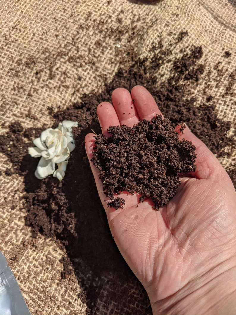 Worm Poop Small Batch Organic Worm Castings. Sustainable, Eco-friendly ...