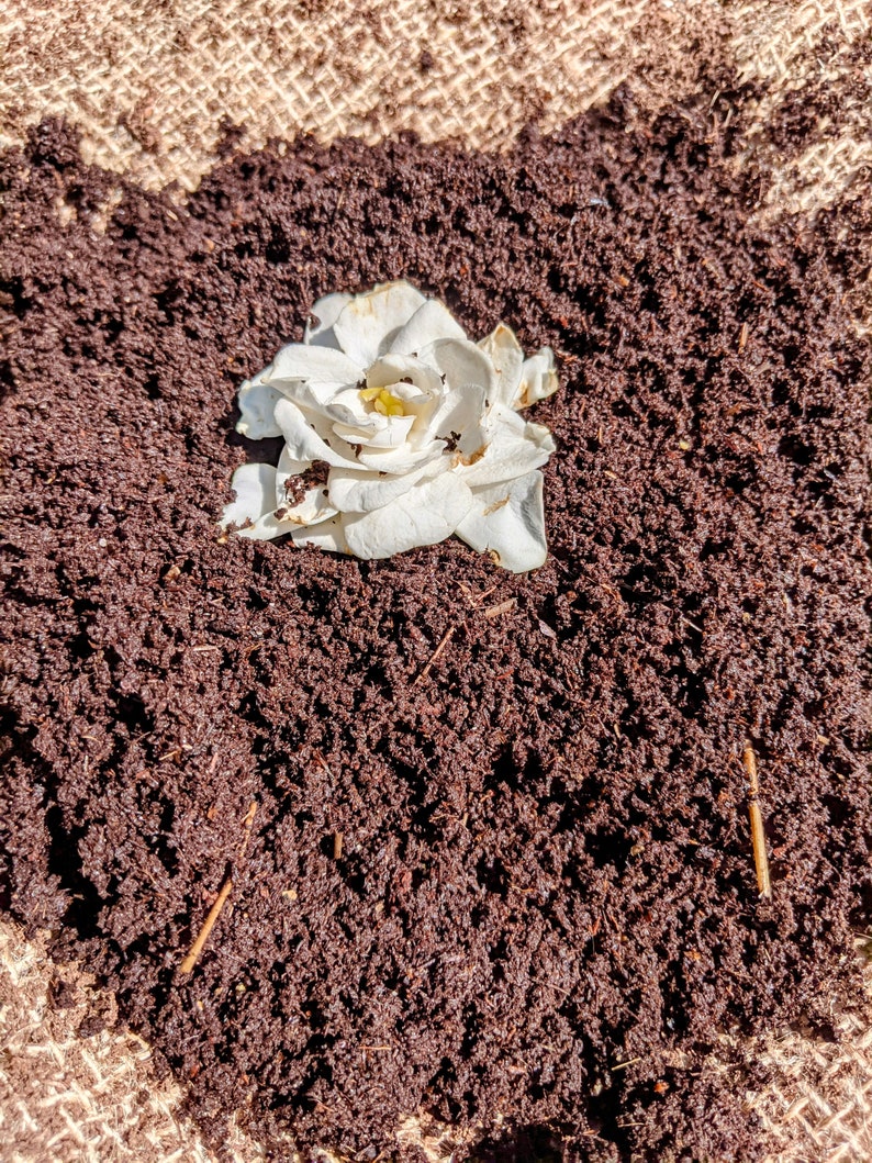 Worm Poop Small Batch Organic Worm Castings. Sustainable, Eco-friendly ...