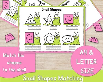 Owl 2D Shapes Clip Peg Cards - Montessori Learning Teaching Maths ...