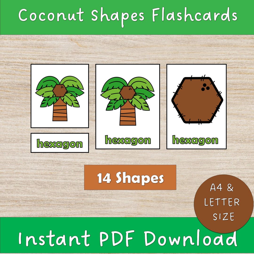 Coconut 2D Shapes Flashcards Matching Montessori Learning Teaching Math ...