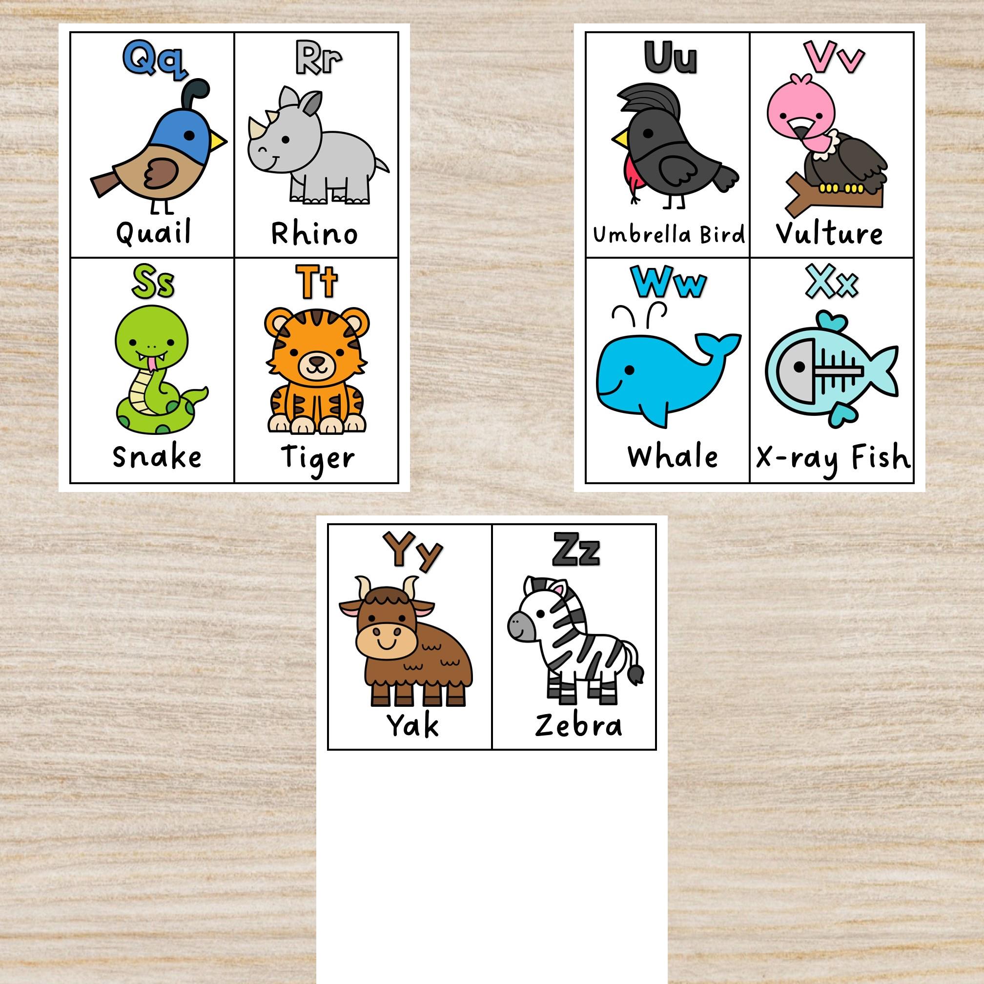 Animal Alphabet Flashcards: Montessori Learning Resource (PDF Download ...