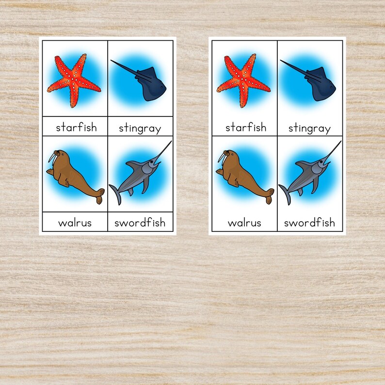 Ocean Animals Flashcards: Montessori Learning Cards (PDF Download) - Etsy