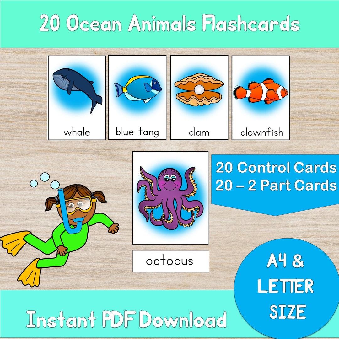 Ocean Animals Flashcards: Montessori Learning Cards (PDF Download) - Etsy