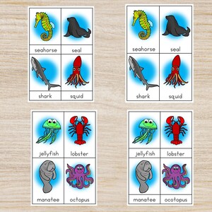 Ocean Animals Flashcards: Montessori Learning Cards (PDF Download) - Etsy
