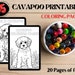 Printable Cavapoo Coloring Book Printable Cavapoo Coloring Pages ...