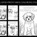 Printable Cavapoo Coloring Book Printable Cavapoo Coloring Pages ...