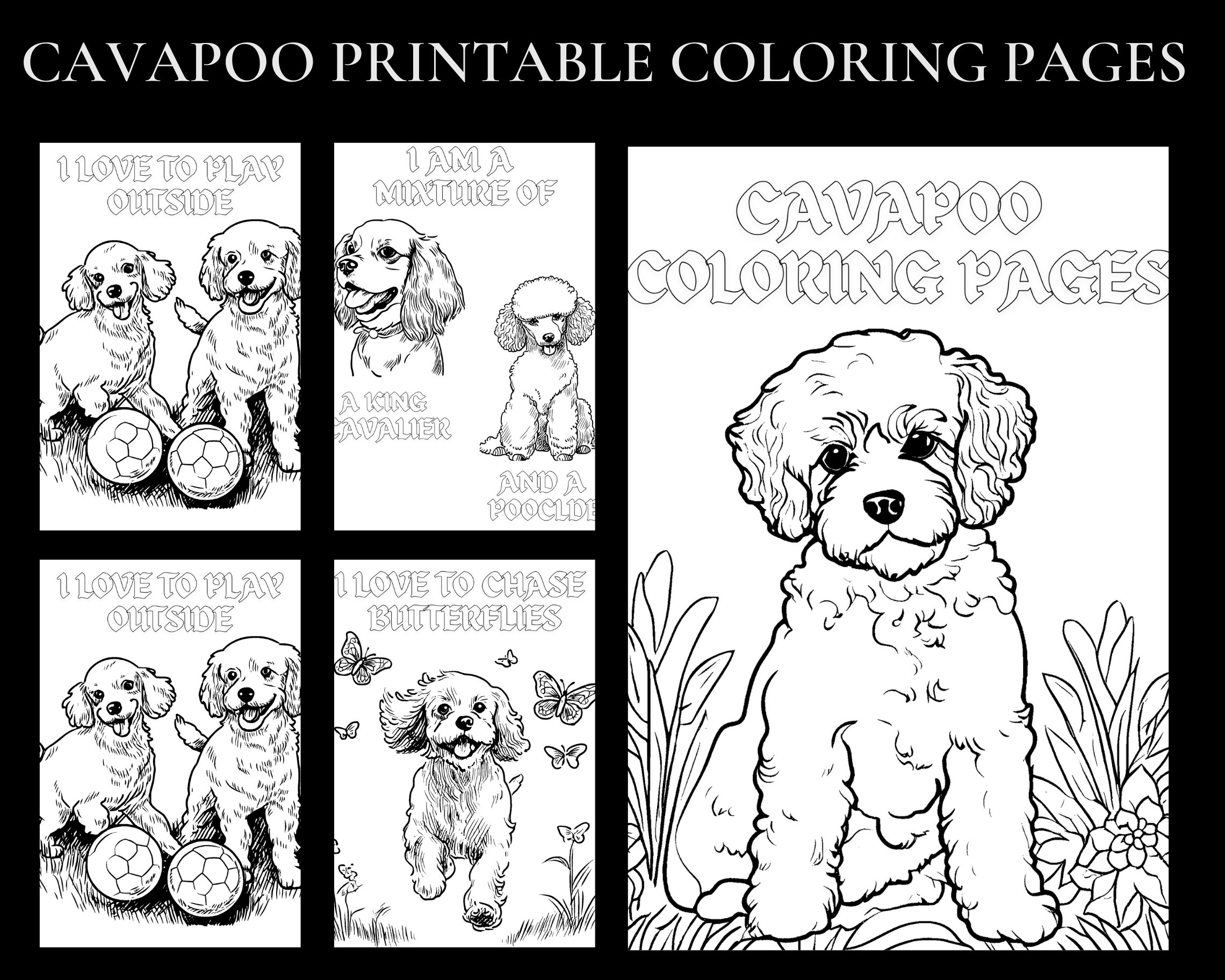 Printable Cavapoo Coloring Book; Printable Cavapoo Coloring Pages ...
