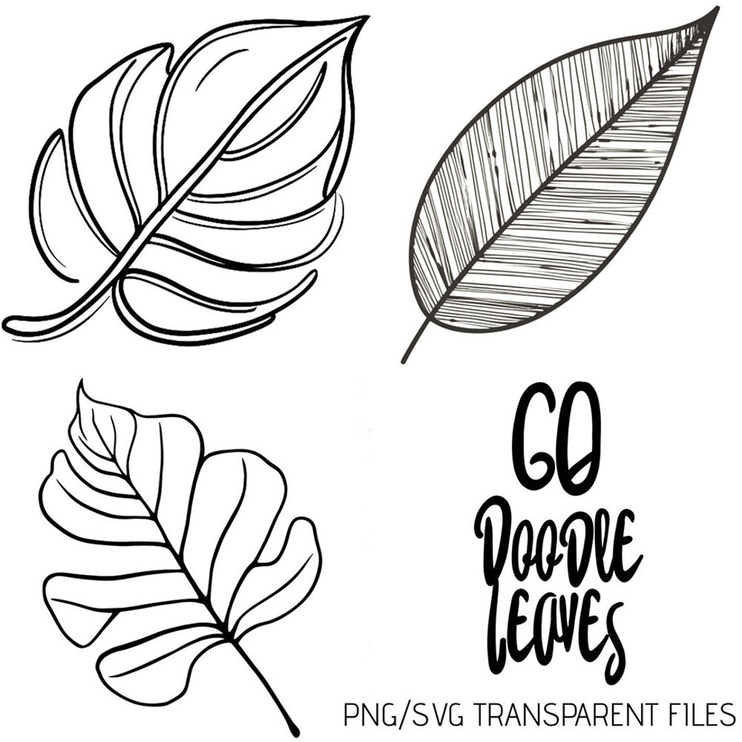 60 Leaves Doodle Hand Drawn PNG SVG Drawings Digital Leaf Clipart ...