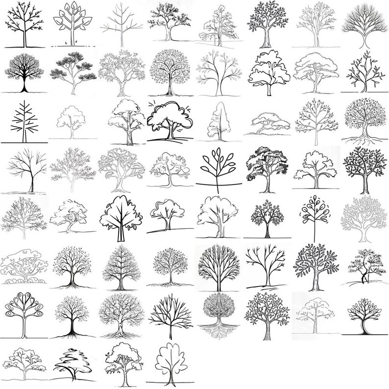 60 Trees Doodle Hand Drawn PNG SVG Drawings Digital Gorgeous Clipart ...