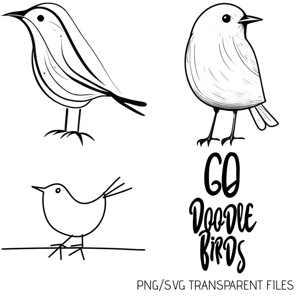 60 Birds Doodle Hand Drawn PNG SVG Drawings Digital Gorgeous Clipart ...