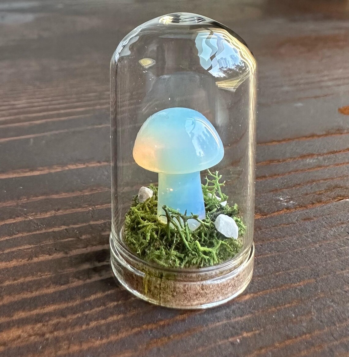 Miniature Glass Terrarium - Etsy