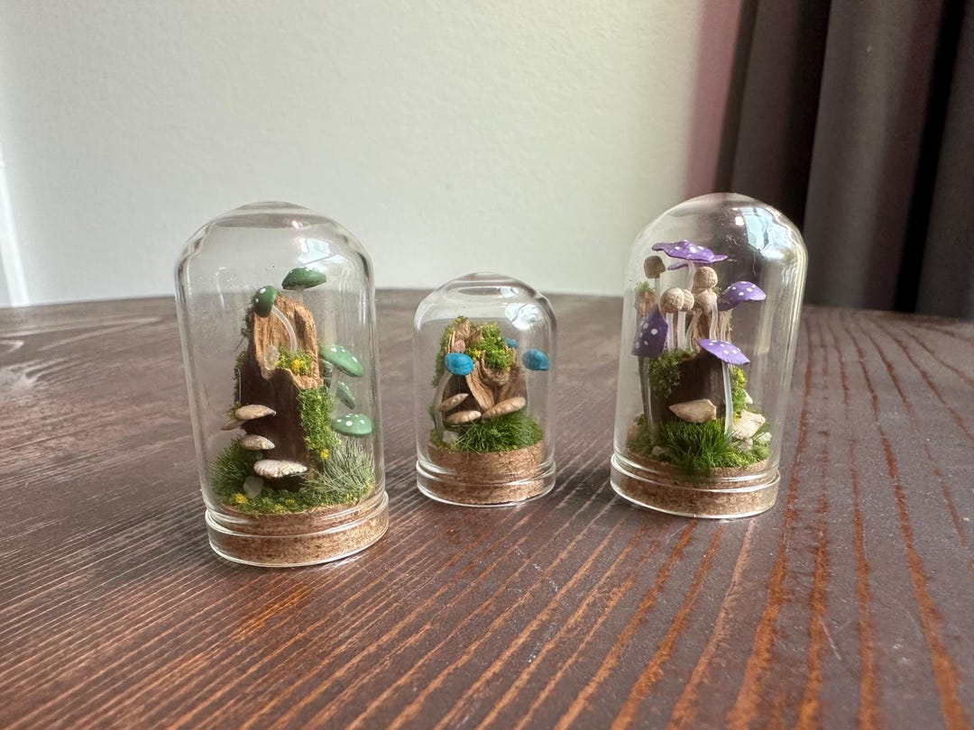 Miniature Glass Terrarium - Etsy
