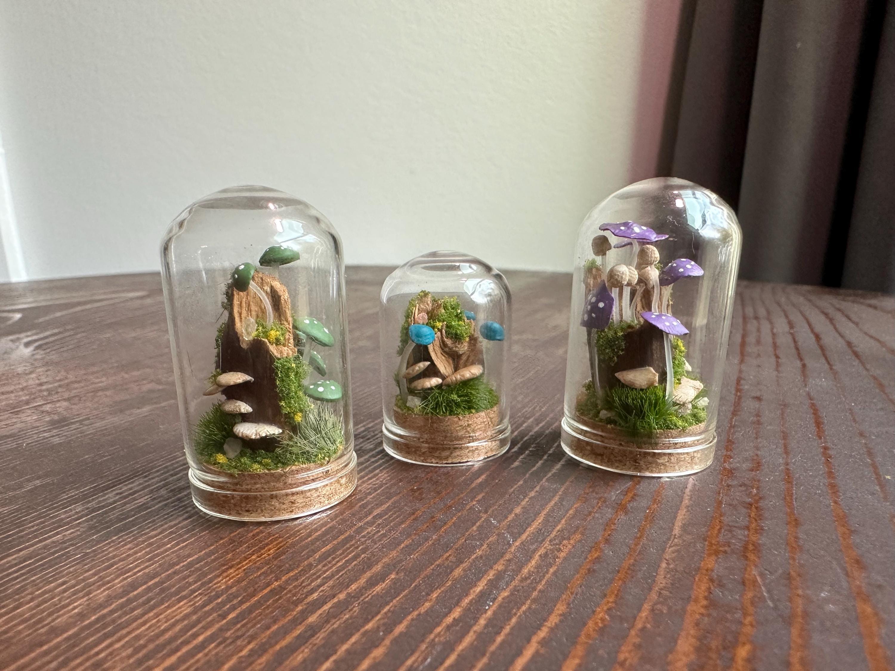 Miniature Glass Terrarium - Etsy