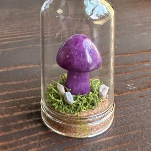 Miniature Glass Terrarium - Etsy