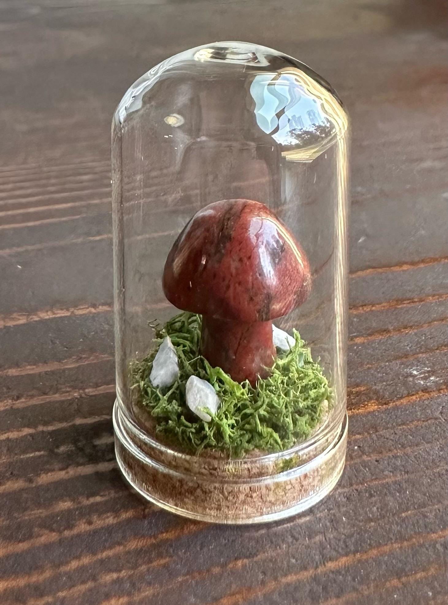 Miniature Glass Terrarium - Etsy