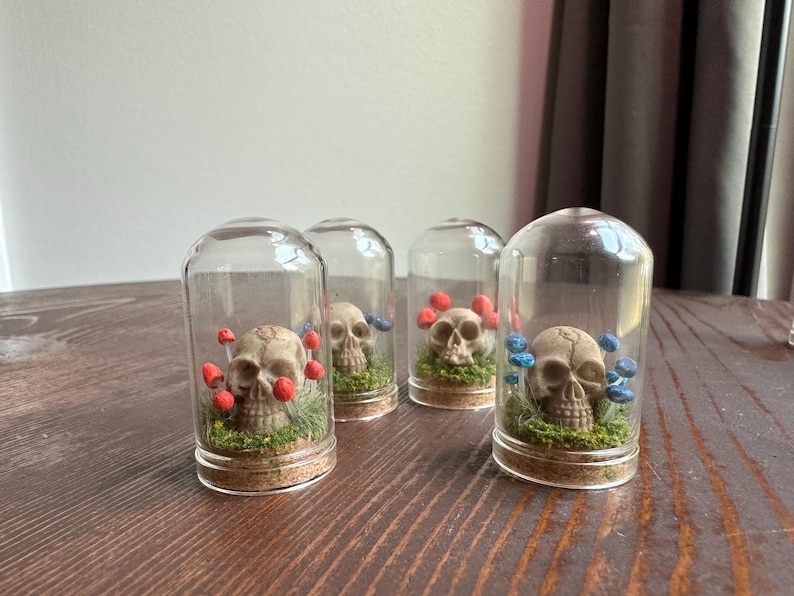 Miniature Glass Terrarium - Etsy