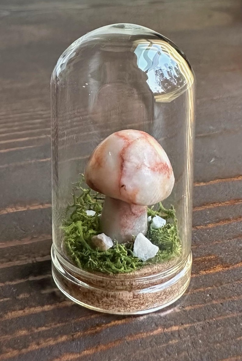 Miniature Glass Terrarium - Etsy