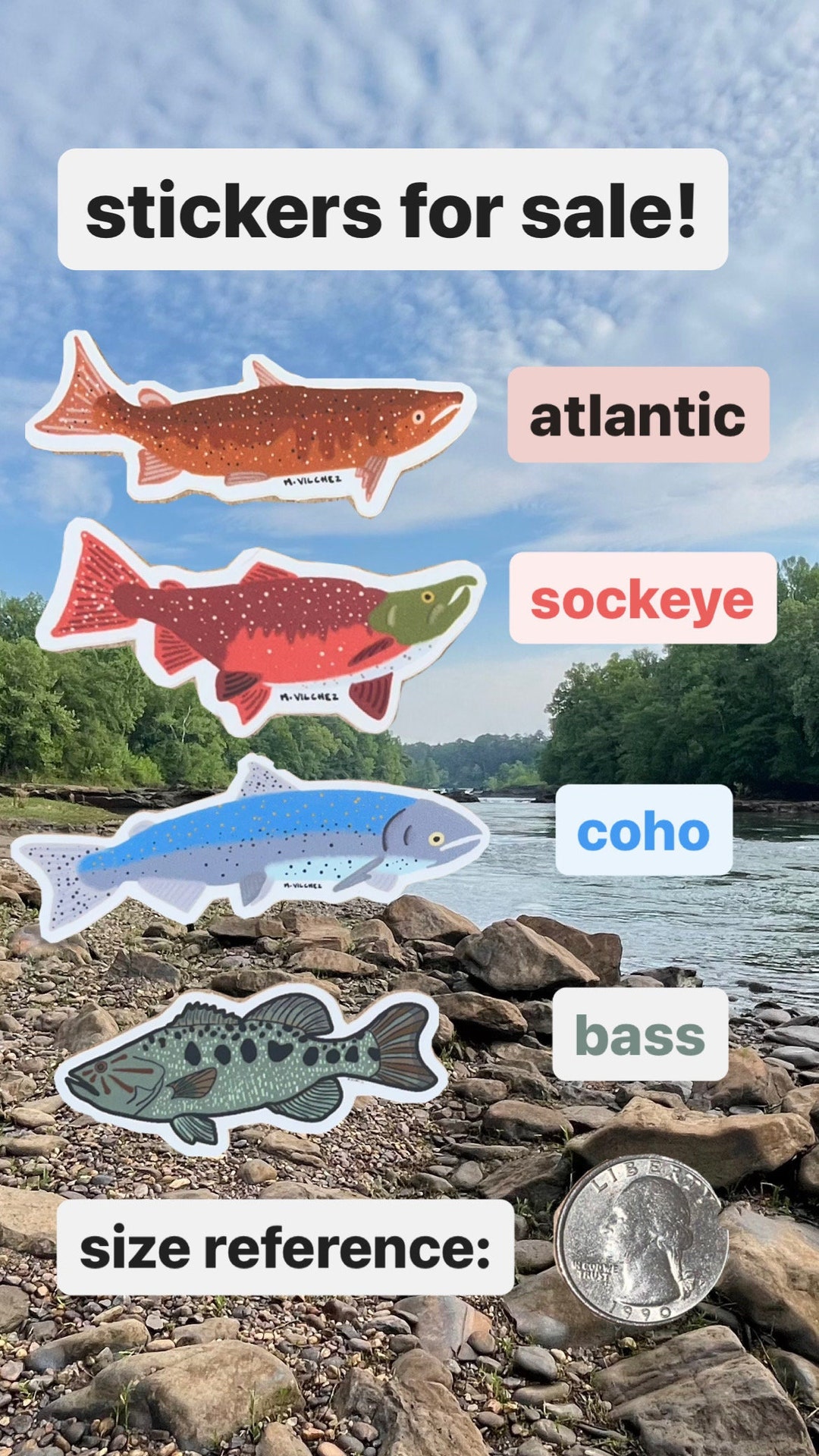 Salmon Pack & Bass Fish Stickers - Etsy
