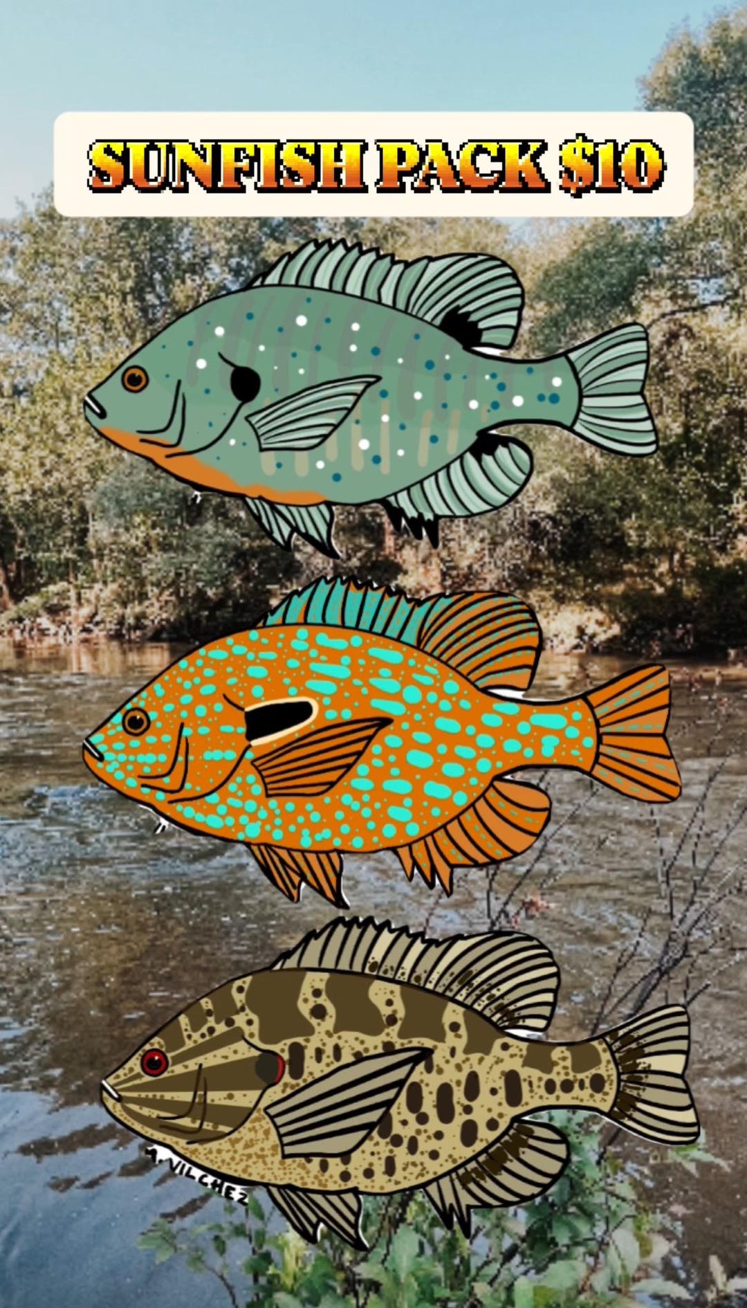 Sunfish Sticker Pack - Etsy