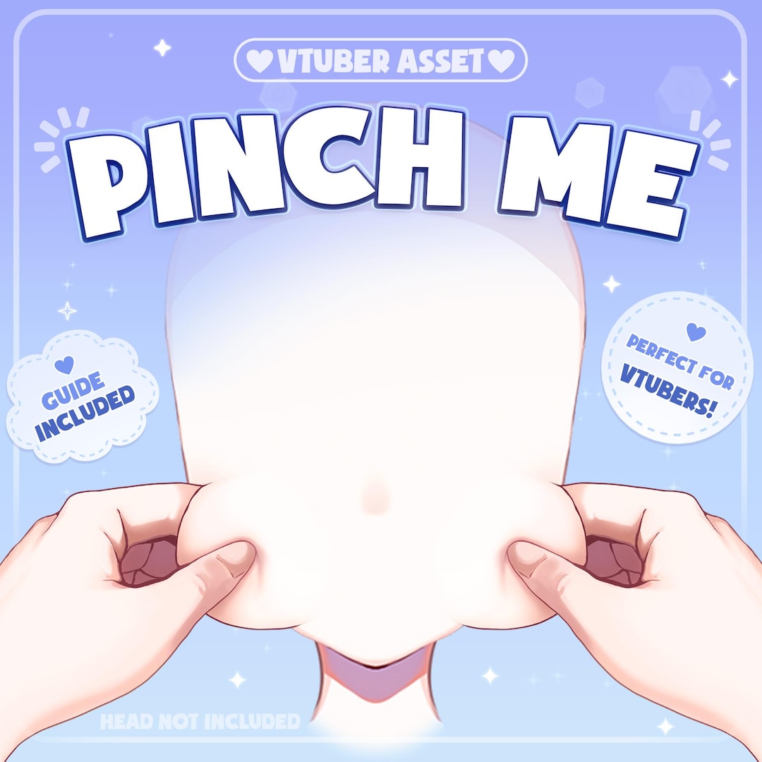 Rigged Vtuber Asset - Pinch Me | Meme - Etsy