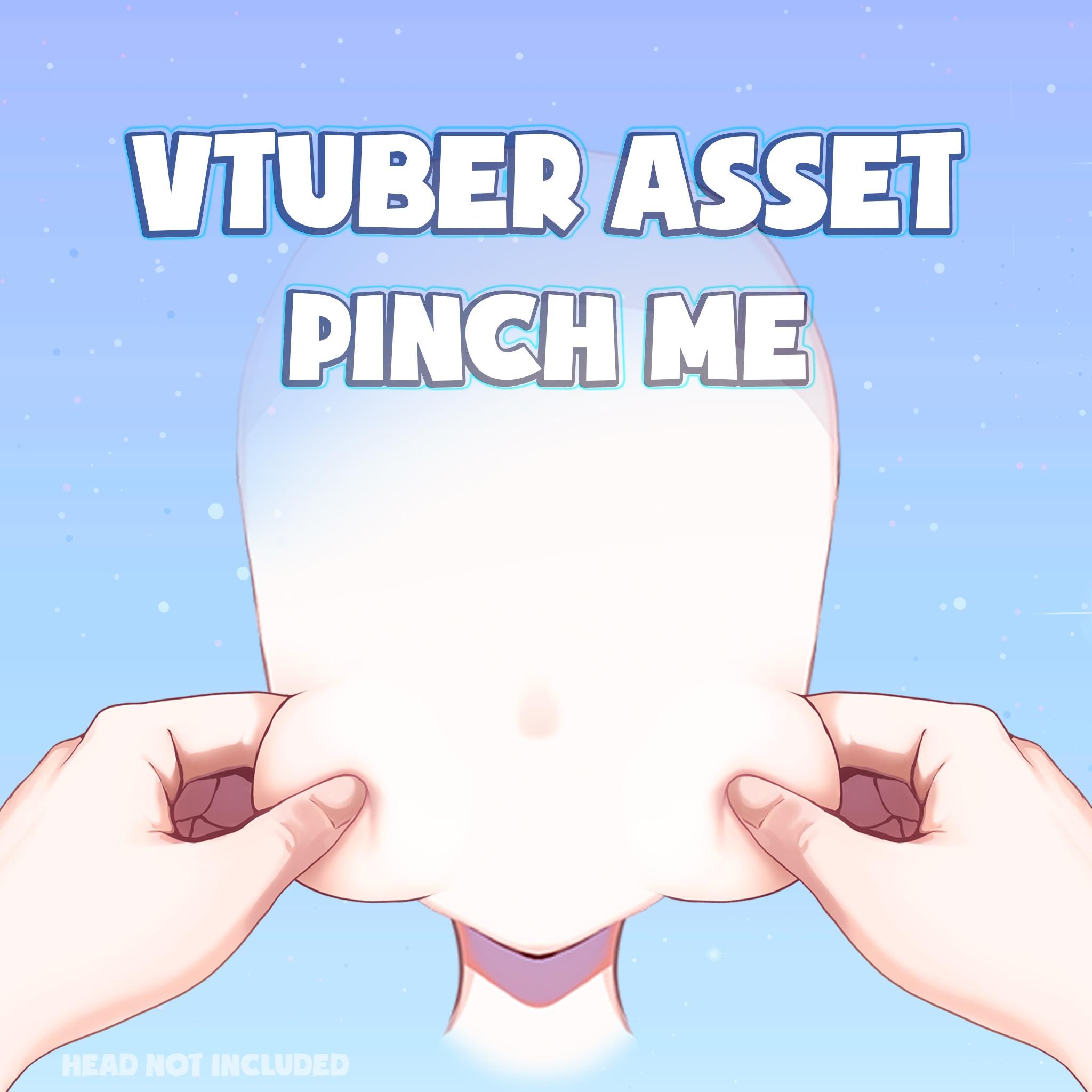 Rigged Vtuber Asset - Pinch Me | Meme - Etsy
