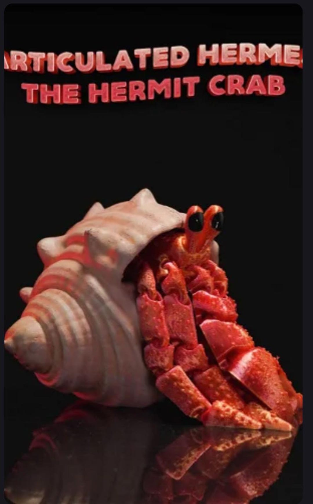 Articulated Hermit Crab With Removable Shell Realistic and Fun Decor - Etsy