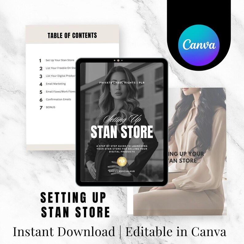 PLR Ebook, Stan Store Digital Marketing Guide, Lead Magnet, How to Sell ...